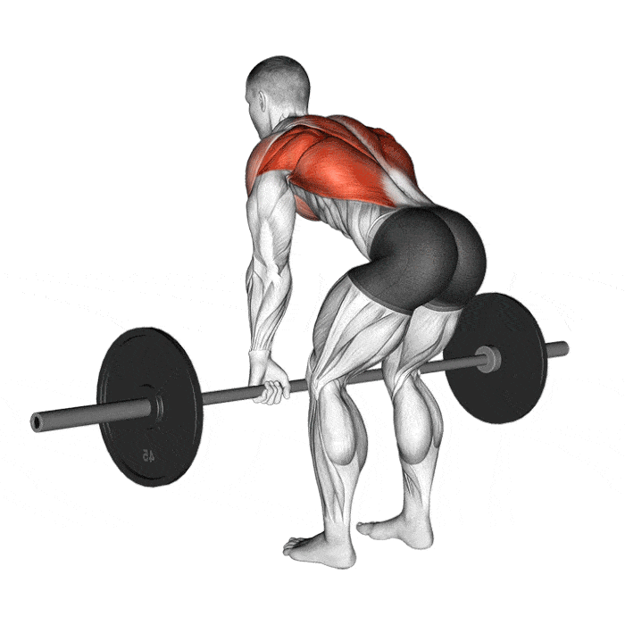 Here’s How to Do a Bent Over Row the Right Way - Rebirth
