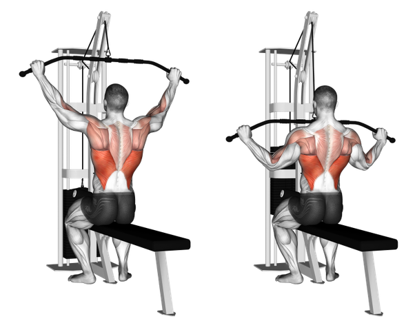 Breaking Down the Lat Pulldown: Techniques, Tips, Muscle Worked and ...